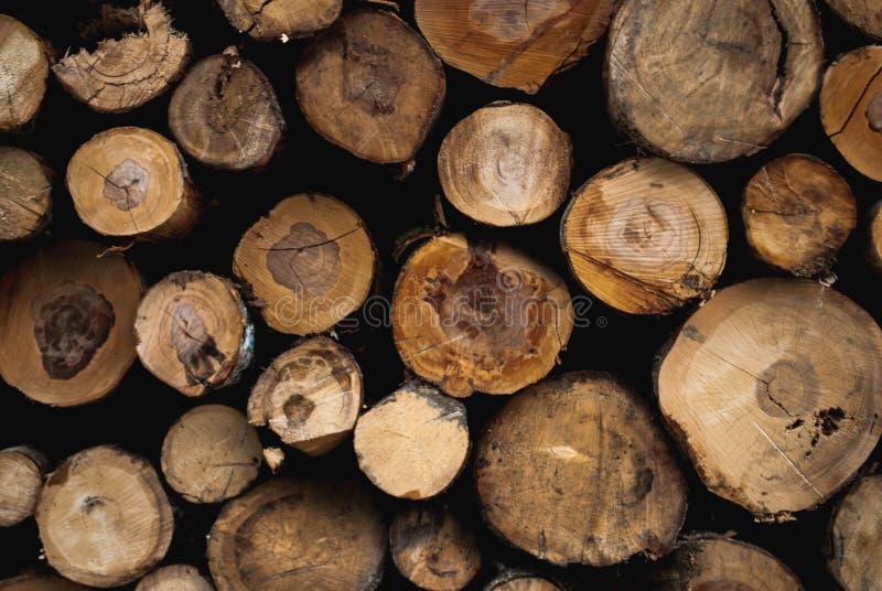 Stacked up round logs stock image. Image of nature, wooden - 131012819