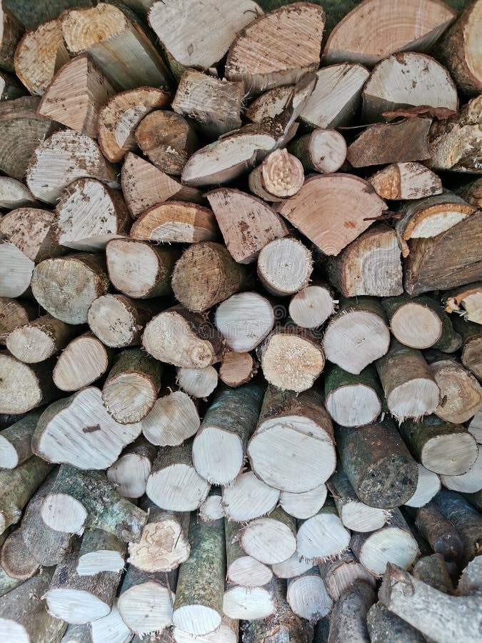 Stacked Winter Firewood for Burning Stock Image - Image of logs ...
