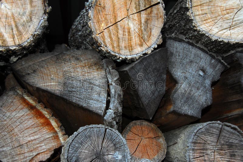 Stacked wood stock image. Image of pile, stump, wood, nature - 1256075