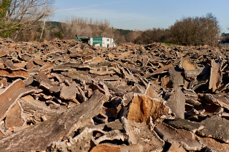 Stacked Wood Bark Production for Processing Stock Photo - Image of ...