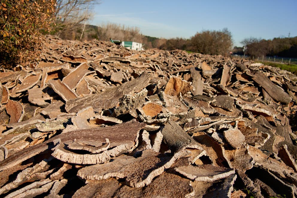 Stacked Wood Bark Production for Processing Stock Image - Image of ...