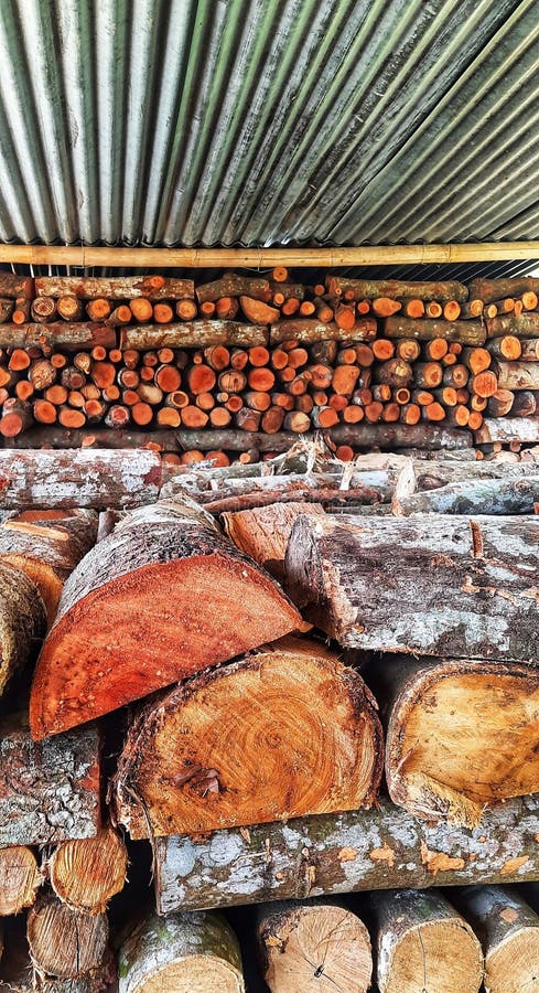 Stacked Wood Forms a Texture with a Natural Pattern. Beautiful Wooden ...