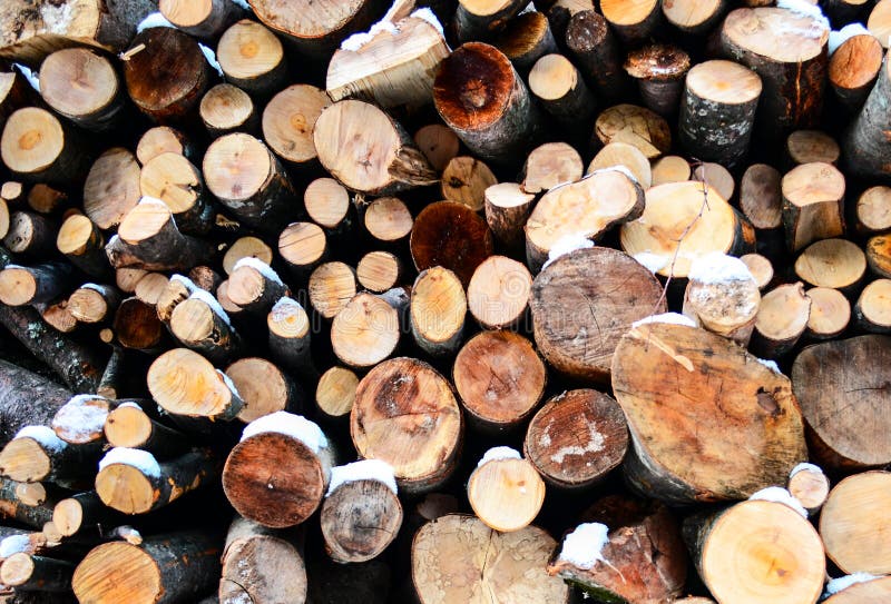 Stacked wood logs stock photo. Image of forestation - 151748186