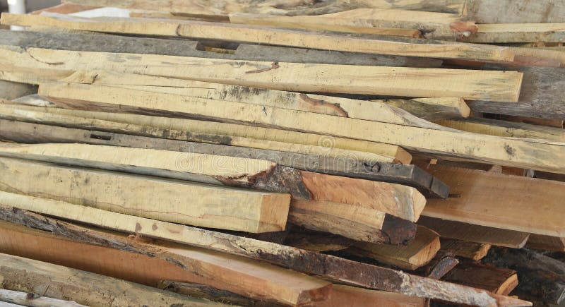 Stacked Wood Logs in Construction Sites, a Pile of Wooden Logs Stock ...