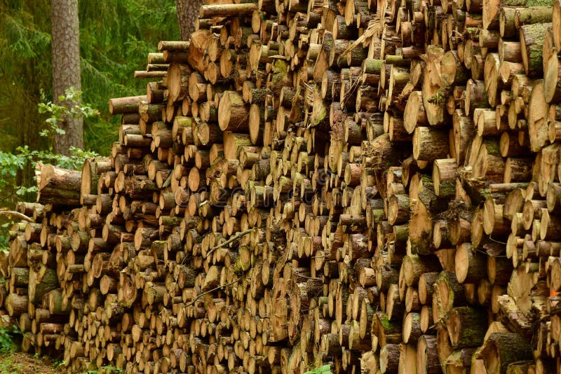 4,259 Lumbering Stock Photos - Free & Royalty-Free Stock Photos from ...