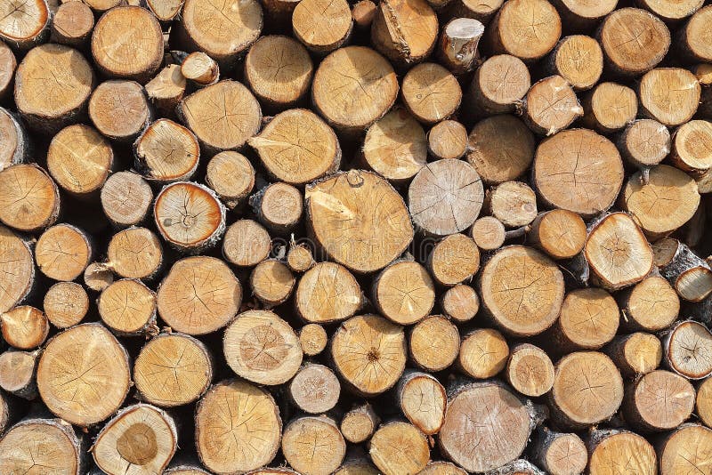 Pine timber background stock image. Image of logging - 35359535
