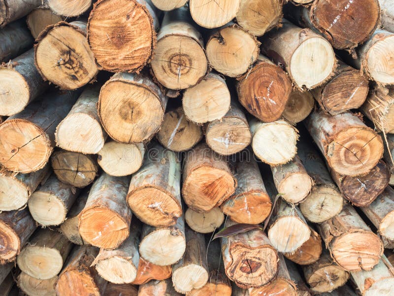 Stacked wood pine timber stock image. Image of product - 78280605