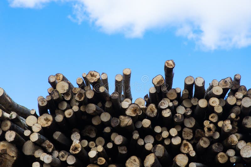Stacked Wood Pine Timber for Construction Buildings Background Stock ...
