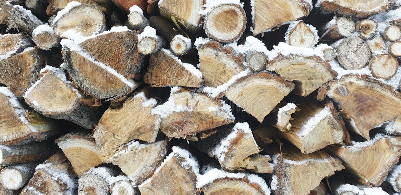 Stacked wood in the snow. stock photo. Image of material - 190868390