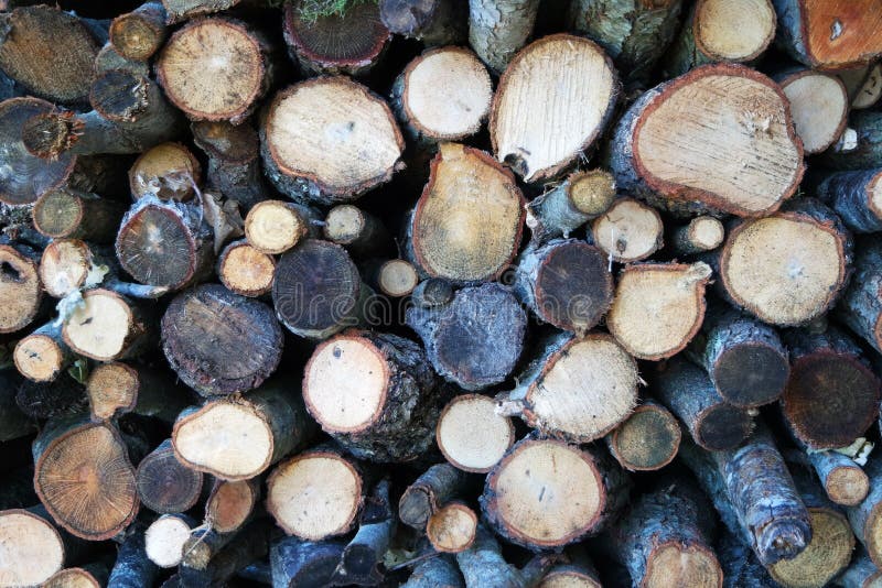 Stacked Wood Stack Background Stock Image - Image of background, forest ...