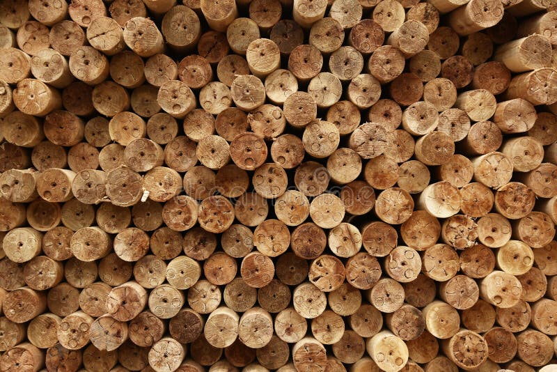 Stacked wooden logs stock photo. Image of stack, full - 224213990