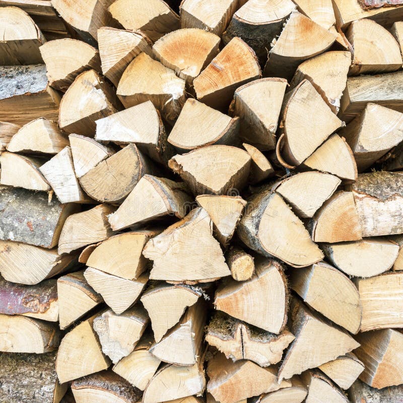 Stacked wooden logs stock image. Image of bark, outdoors - 262646763
