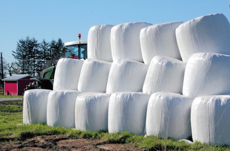 Stacked and Wrapped Hay Bales Stock Photo - Image of horses, rows: 50538982