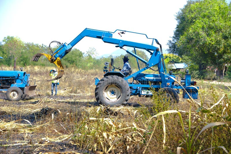 Stacker Cane for Farmer in Thailand Editorial Stock Image - Image of ...