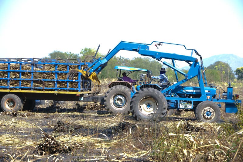 Stacker Cane for Farmer in Thailand Stock Photo - Image of business ...