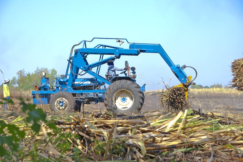 Stacker Cane for Farmer in Thailand Editorial Stock Image - Image of ...