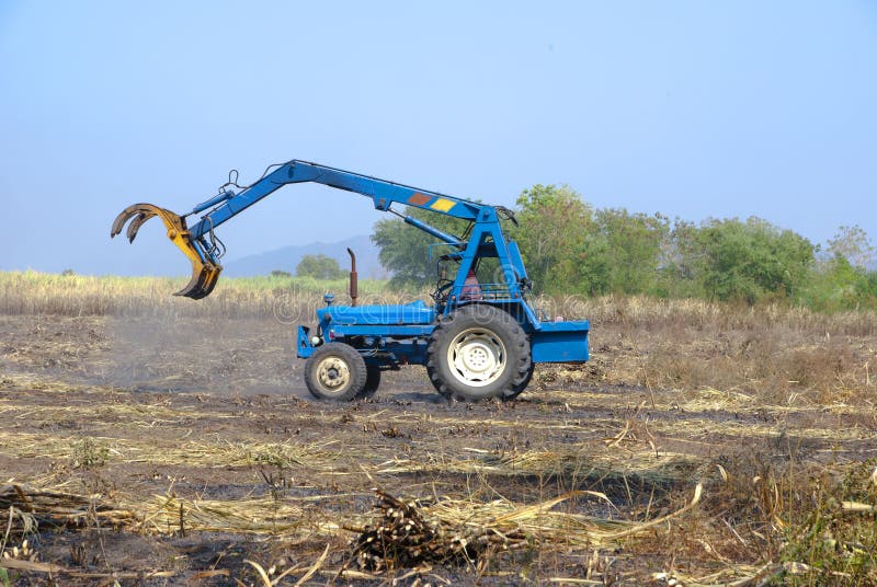 Stacker Cane for Farmer in Thailand Stock Image - Image of industry ...
