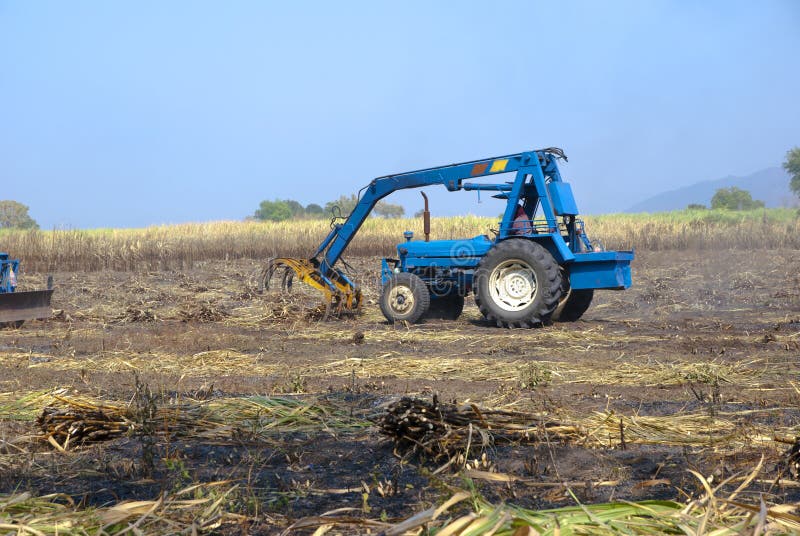 Stacker Cane for Farmer in Thailand Stock Image - Image of full ...