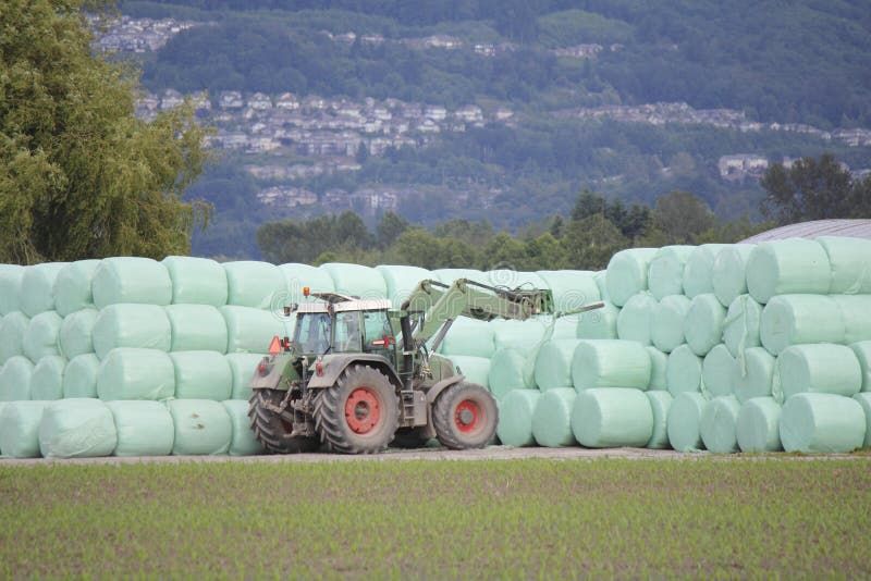 Stacking Baled Hay stock photo. Image of baled, organized - 31823740