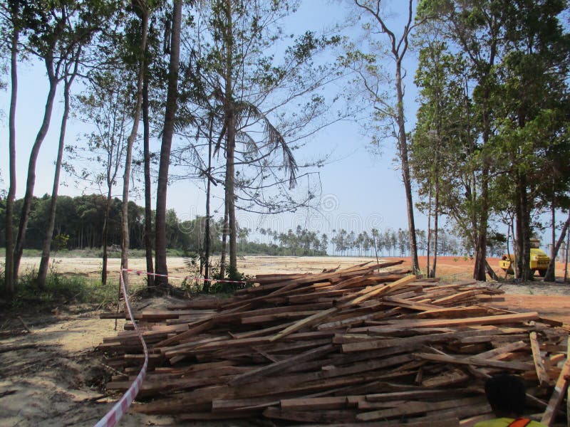 Stacking the Beam at the Project Location Stock Image - Image of trunk ...