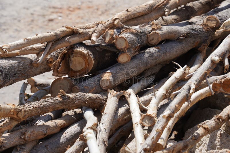 Stacking Firewood Pile Logs Cut Wooden Clipping Path Stock Photos ...