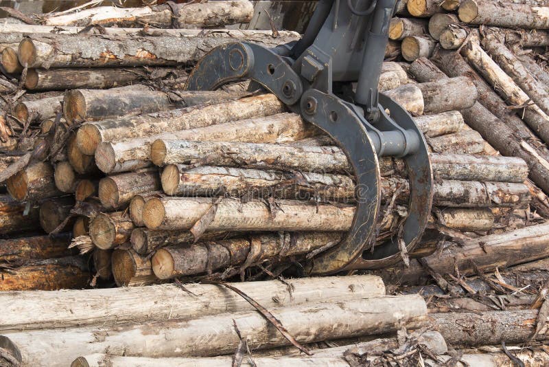 Stacking of logs stock image. Image of pile, tractor - 98405975