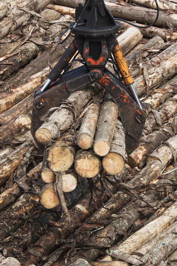 Stacking of logs stock image. Image of truck, trunk, crane - 98405995