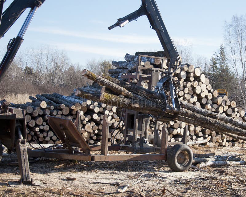 Stacking logs to cut stock photo. Image of forest, logs - 29038718
