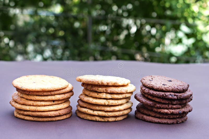 Stacks of Chocolate Cookies, Cookies with Chocolate Drops, Cookies with ...