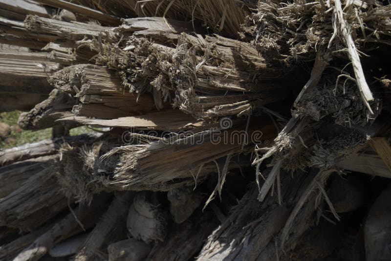 Stacks of Dry and Dead Stems and Tree Branches Naturally. Isolated ...