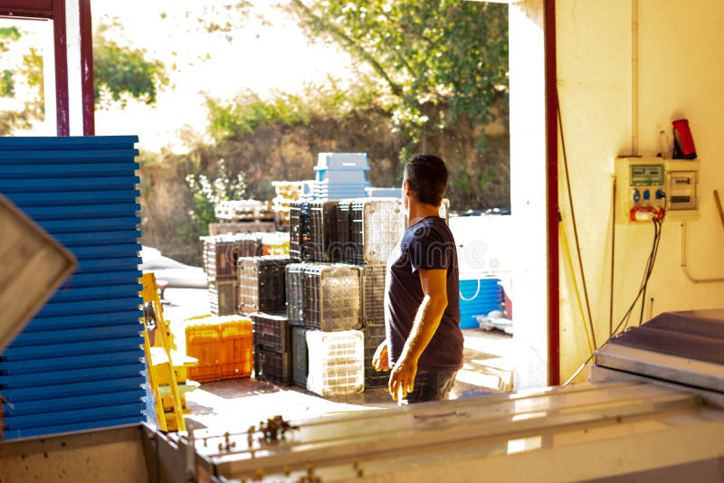Stacks of Empty Fruit Boxes Stock Image - Image of viticulture, grow ...
