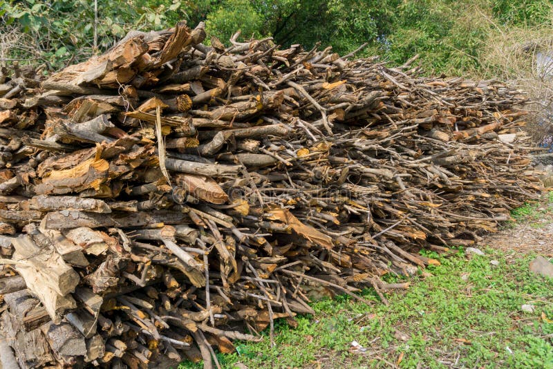 Stacks of Firewood Collected by Villagers from Forest Stock Photo ...