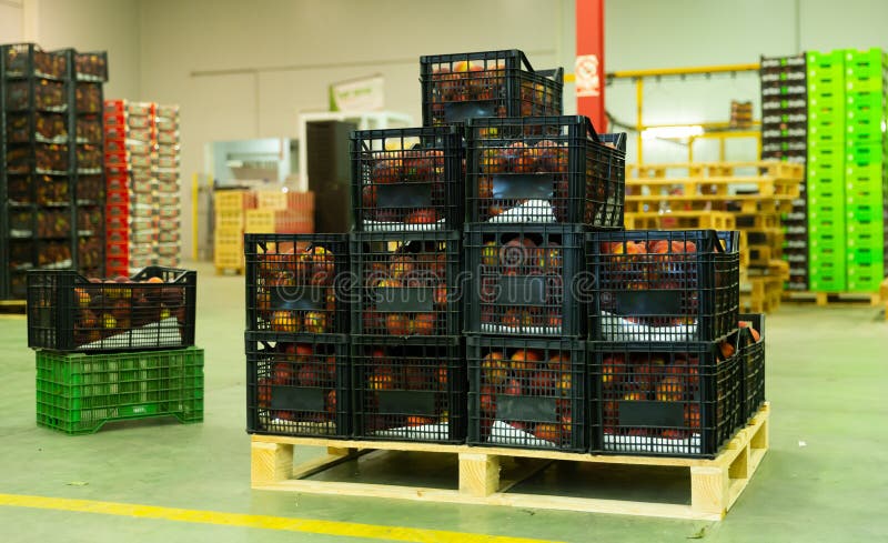 Stacks of Fruit Boxes with Fresh Peaches in Storage Warehouse Stock ...