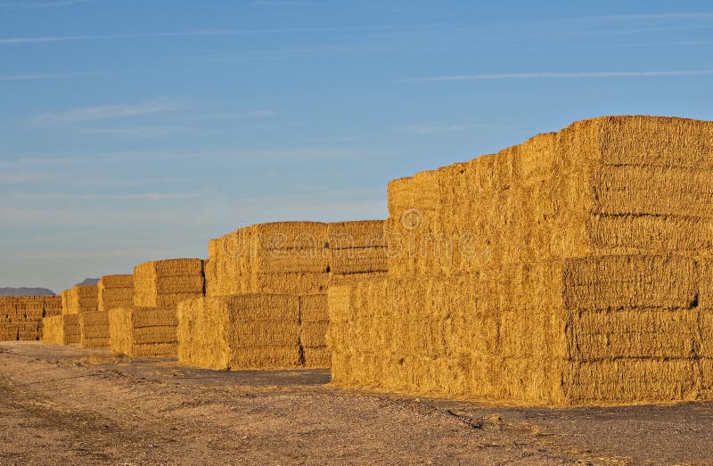 Stacks of Hay stock image. Image of piled, united, textures - 17474347