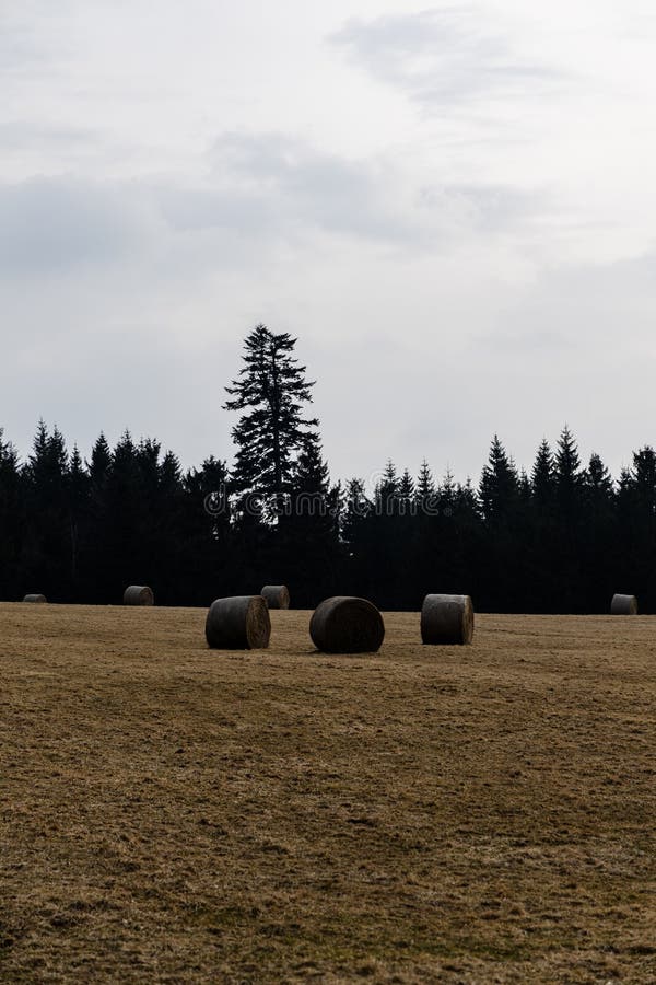 Stacks of Hay on a Field. Eastern Sudetes on the Border of Poland and ...