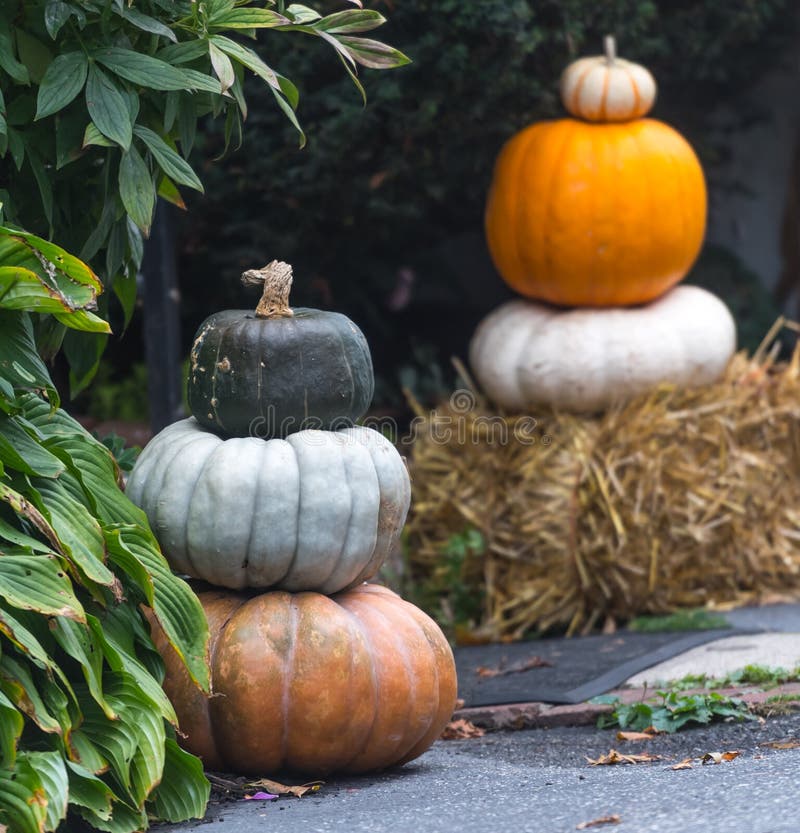 Stacks of Heirloom Pumpkins Stock Image - Image of large, close: 136843317