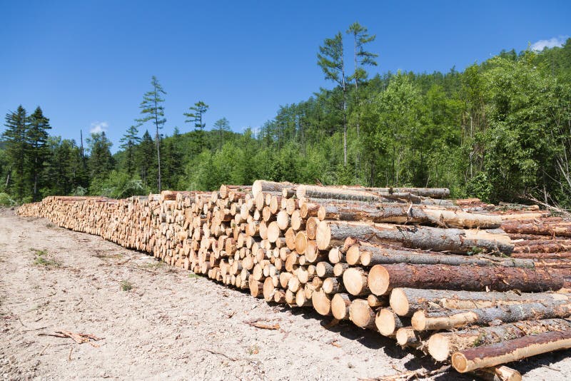 Timber Logging in Austrian Alps Stock Photo - Image of wildlife ...