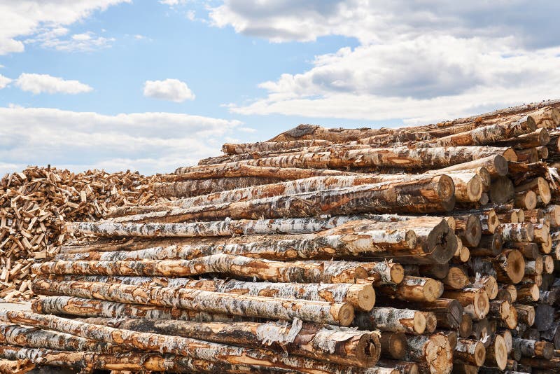 Stacks of Logs and Heap of Firewood Chocks in the Lumber Yard Stock ...