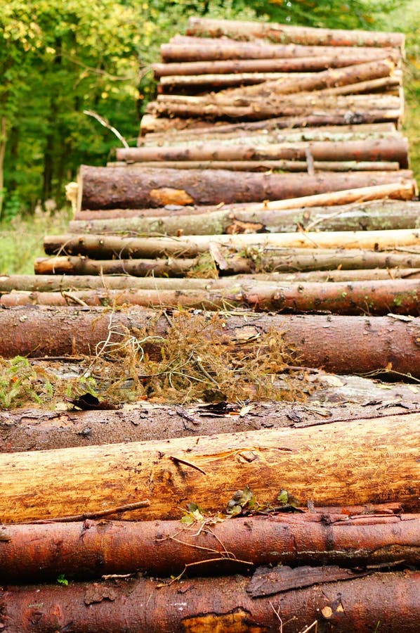 Stacks of lumber stock photo. Image of stacked, center - 2834920