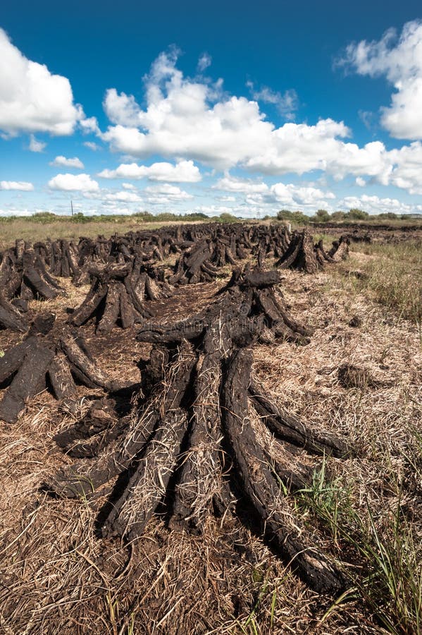 Stacks of Peat Bog in a Field Stock Image - Image of landscapen, bricks ...