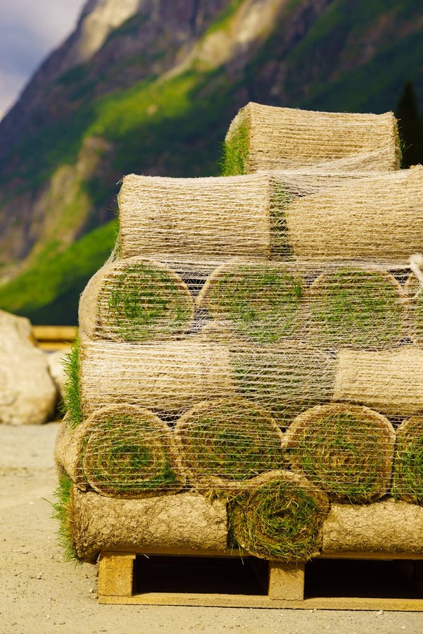 Stacks of Sod Rolls for New Lawn Stock Photo - Image of landscaping ...