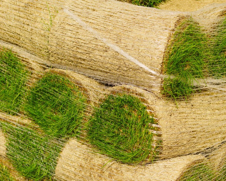 Stacks of Sod Rolls for New Lawn Stock Photo - Image of business ...