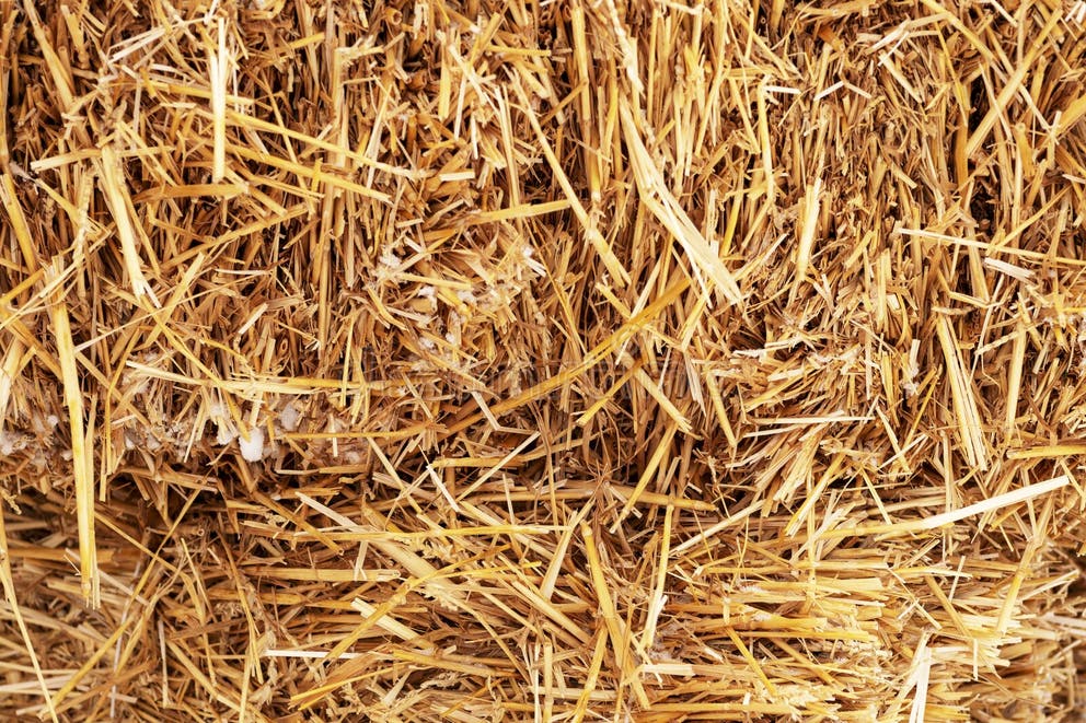 Stacks of Straw. Alternative Fuel Source Stock Image - Image of stalk ...