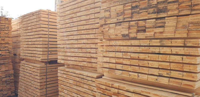 Stacks of Wooden Planks Stacked on Pallets Stock Photo - Image of ...