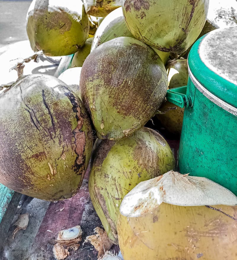 Stacks of Young Coconuts Ready for Sale Stock Image - Image of coconuts ...