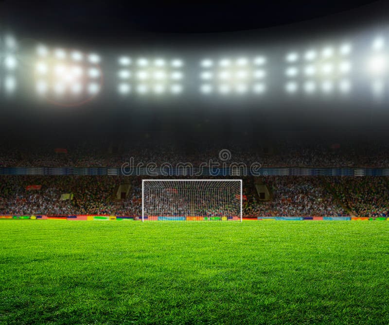 On the stadium. stock photo. Image of night, champion - 40227568
