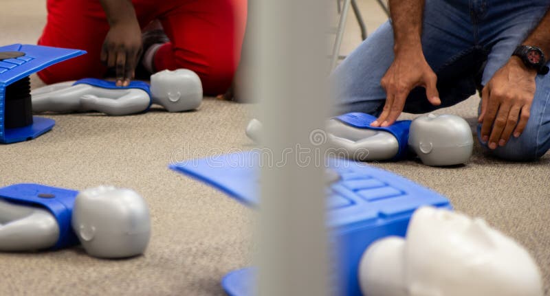 Staff Putting Medical Gloves for First Aid Training Stock Photo - Image ...