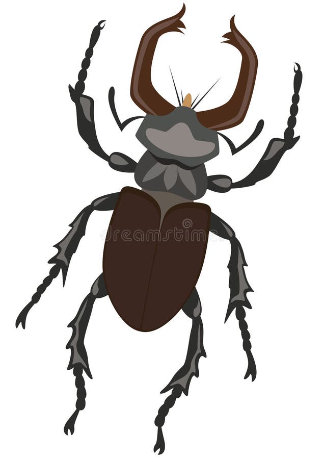 Stag beetle stock vector. Illustration of black, collector - 33576419