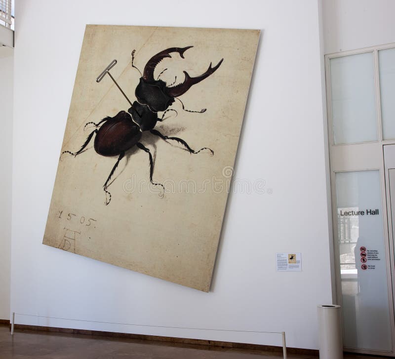 Stag Beetle after Durer editorial image. Image of durer - 20539920