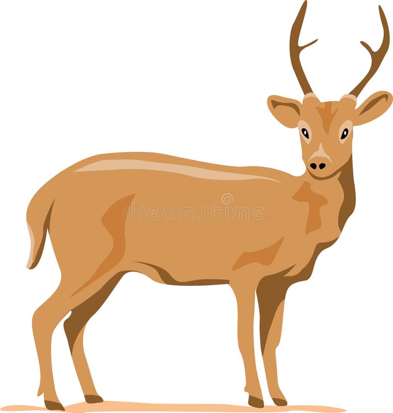 Stag stock vector. Illustration of ruminant, fight, wildlife - 95147409
